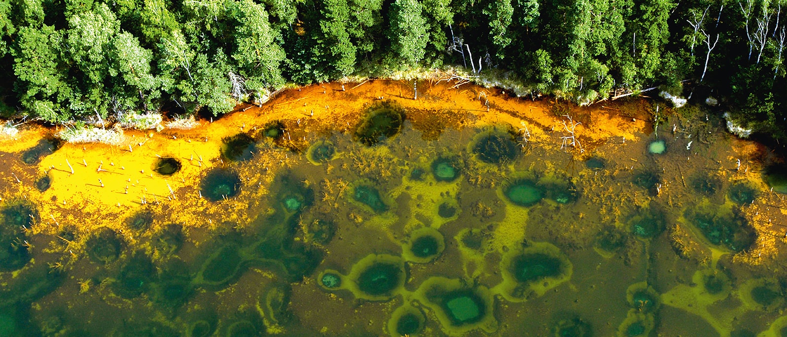 Sächsische Geoparks - Geopark Porphyrland